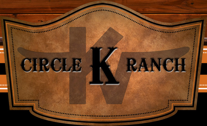 Circle K Ranch Registered Texas Longhorns in Thrall, TX.